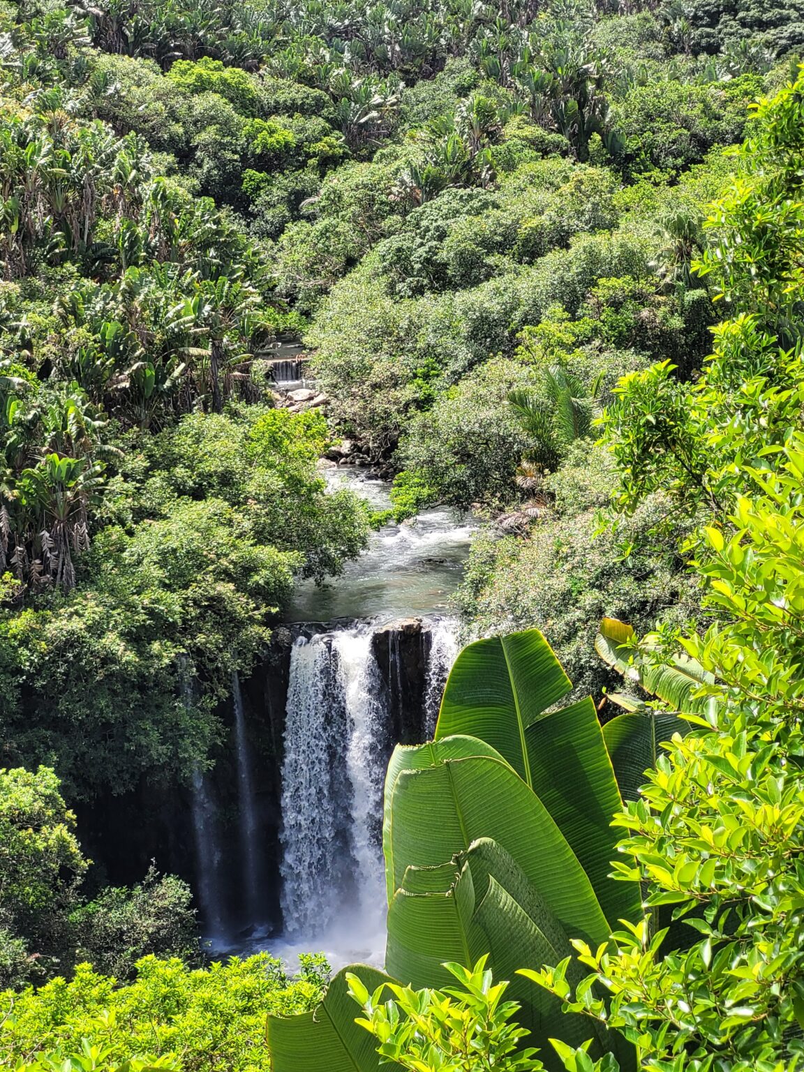 Cascade Île Maurice : les 10 plus belles cascades selon les locaux